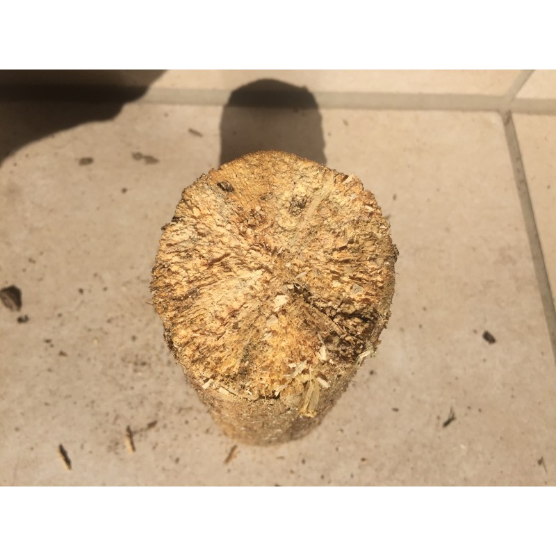 White-rotten Breeding Log S soft decayed